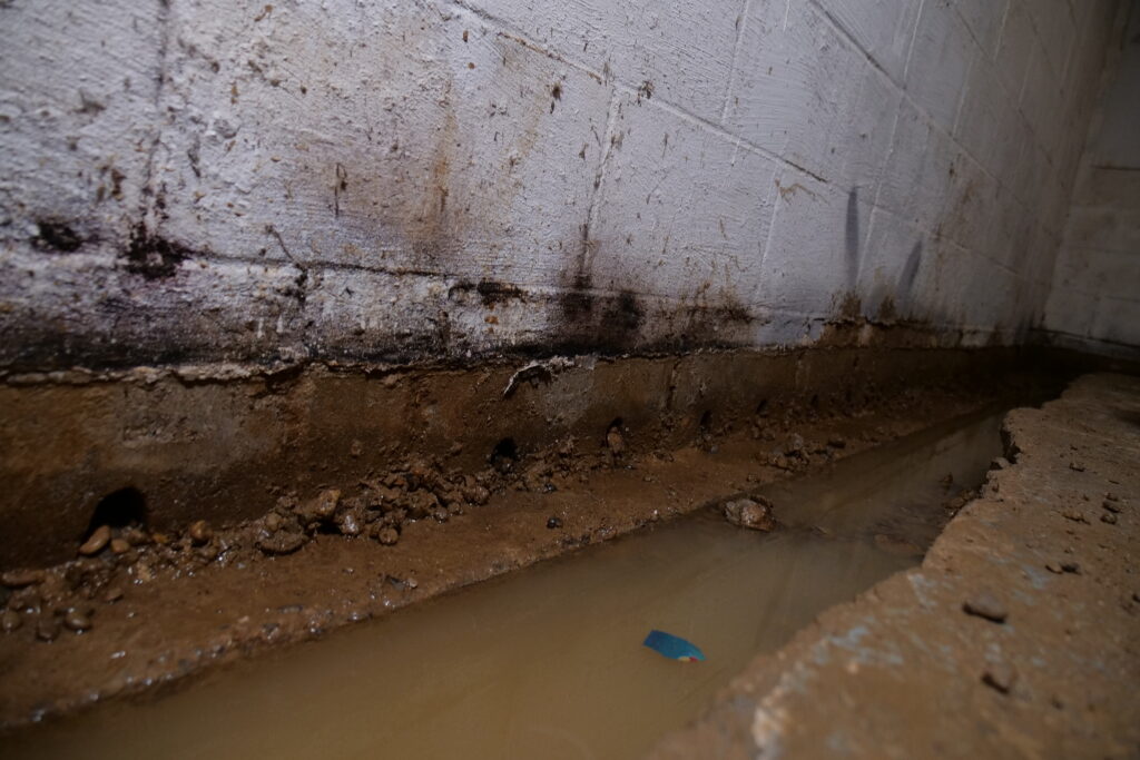 How to Keep Water Out of a Basement | Erie Home | Blog