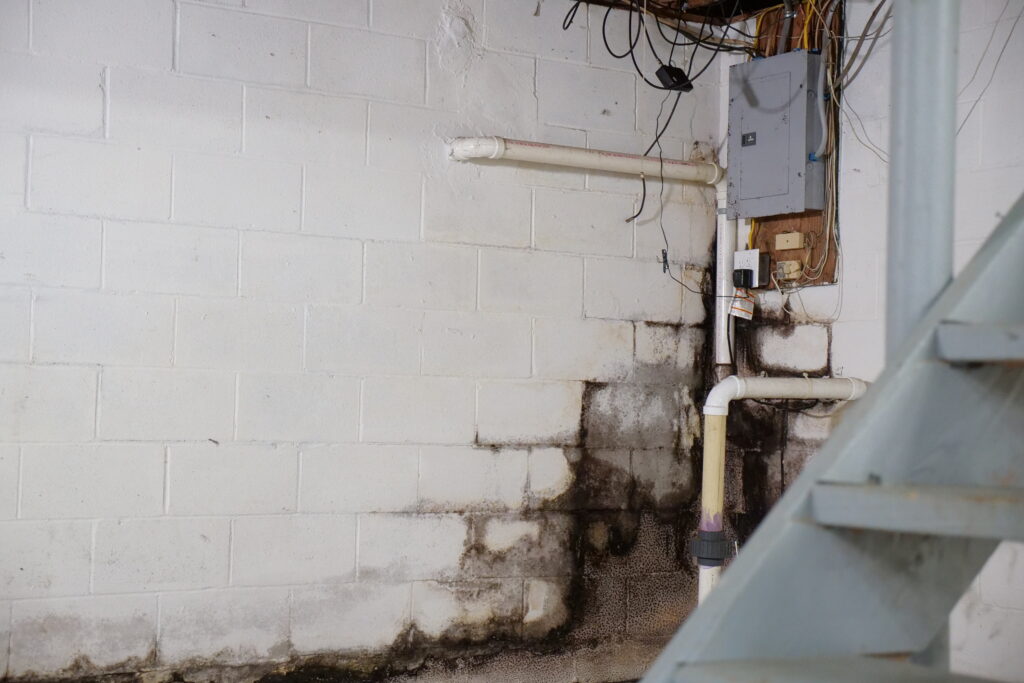 Effective Solutions for a Flooded Basement | Erie